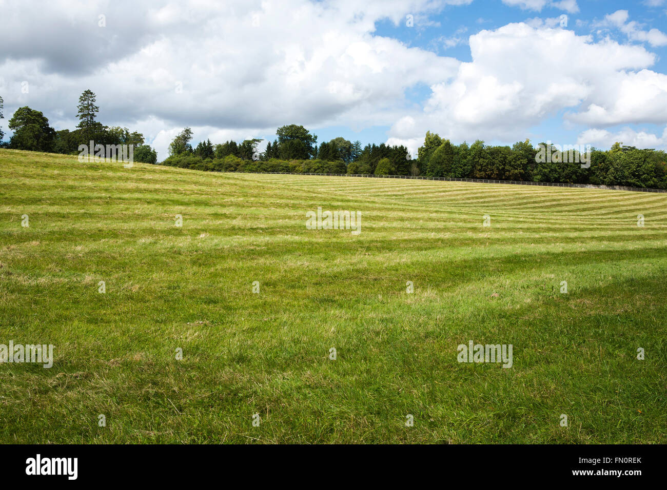 A large mown field with stripes cut into the grass Stock Photo - Alamy