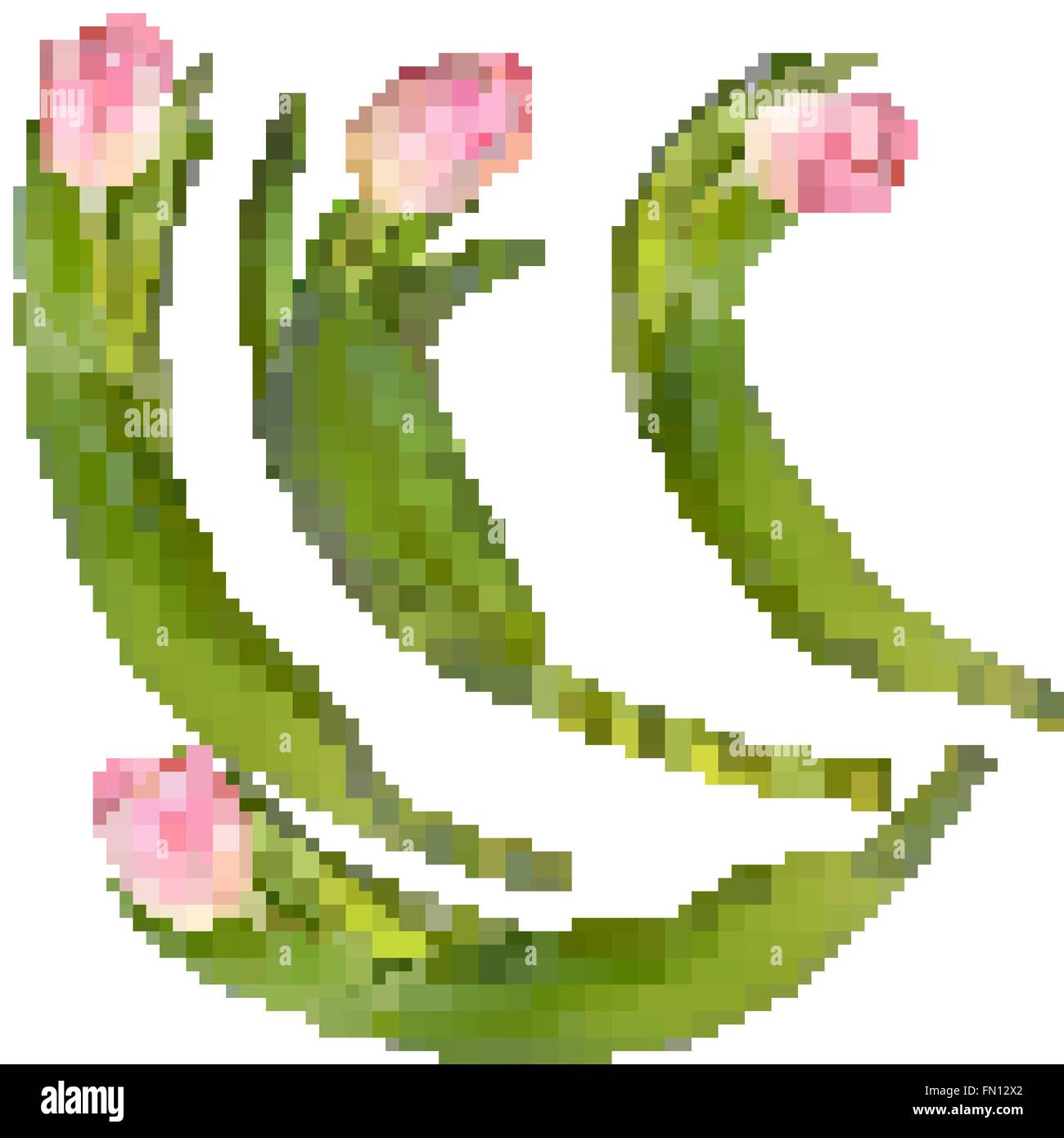 Set of 4 tulips on a white background. EPS 10 Stock Vector Image & Art ...