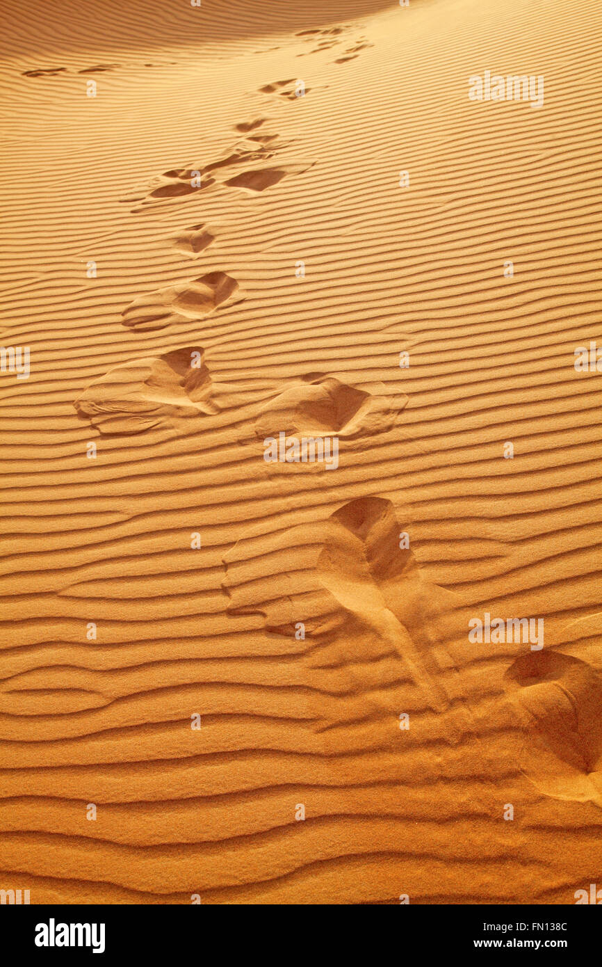 Red sand "Arabian desert" near Dubai, United Arab Emirates Stock Photo ...