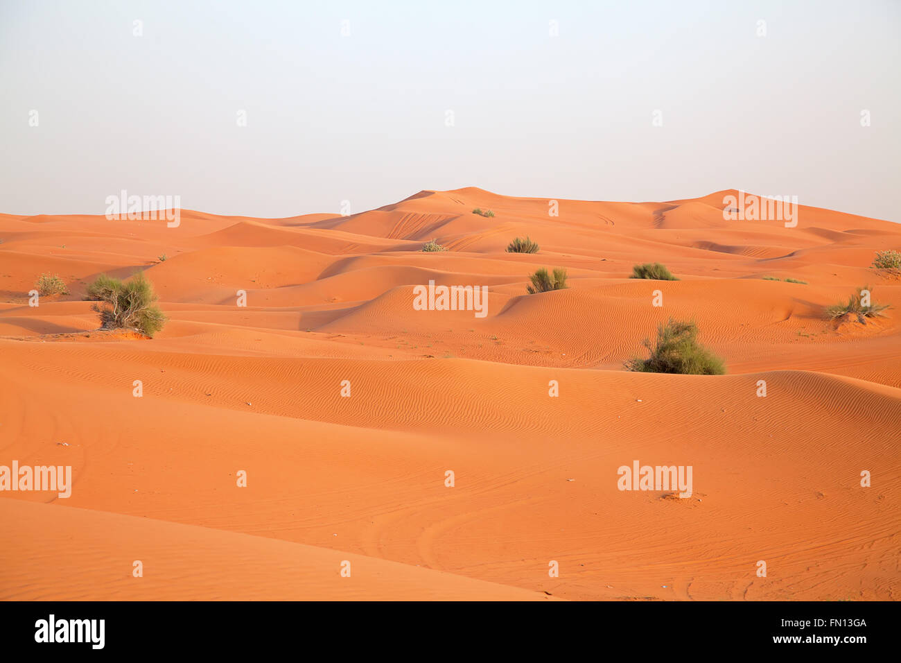 Red sand "Arabian desert" near Dubai, United Arab Emirates Stock Photo ...