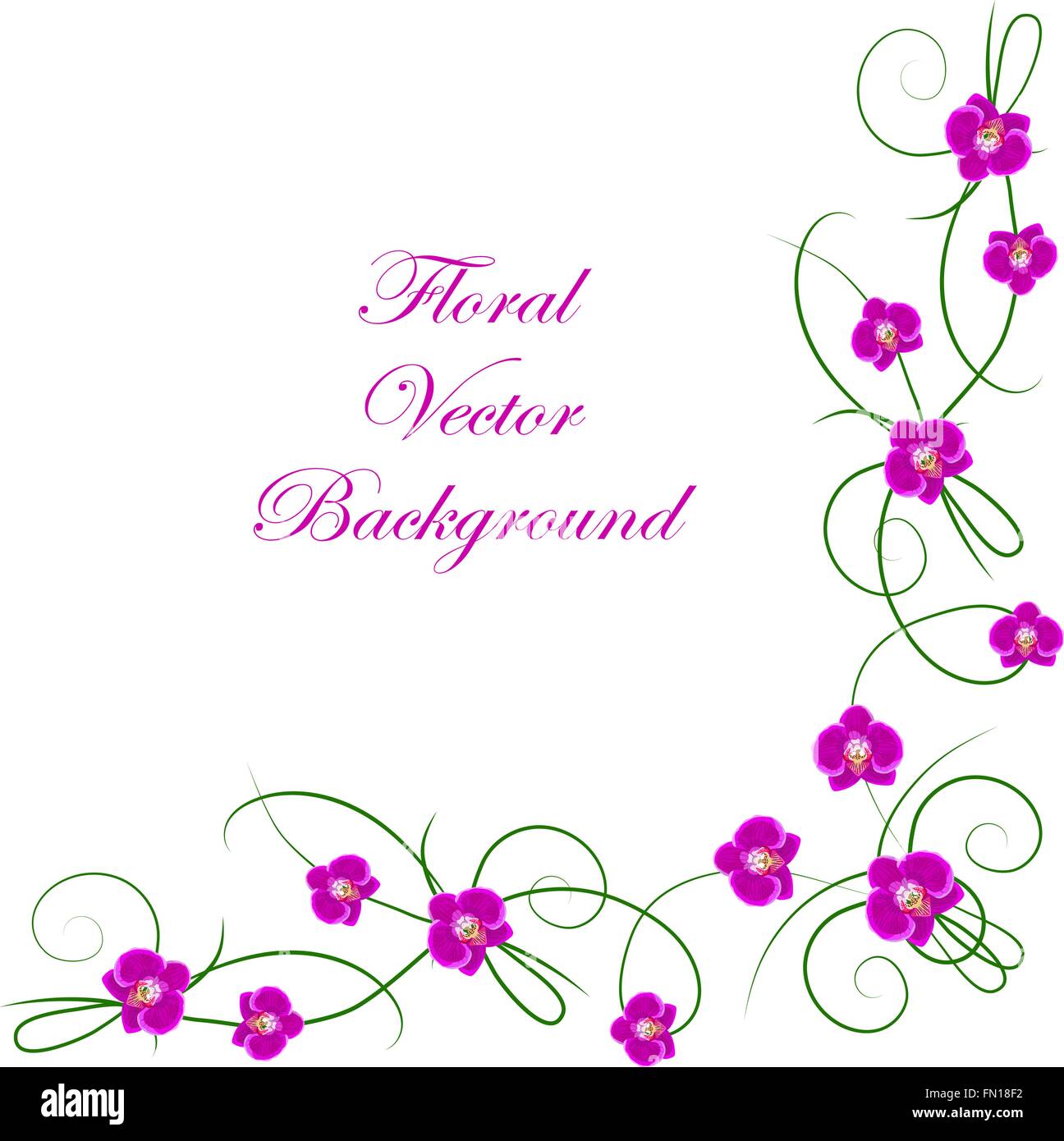 Floral vector background Stock Vector Image & Art - Alamy