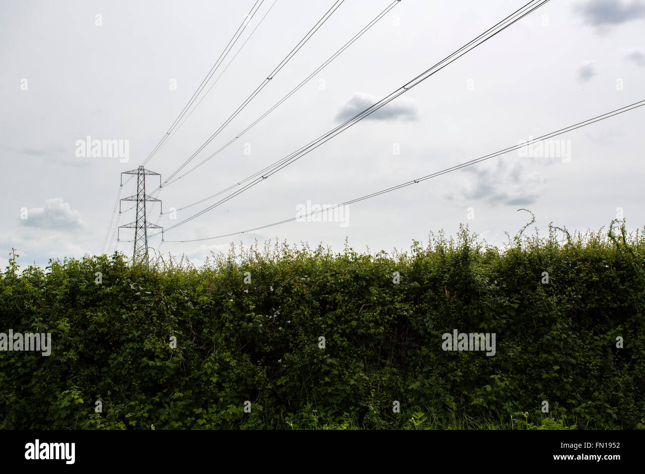 Electricty power lines hi-res stock photography and images - Alamy