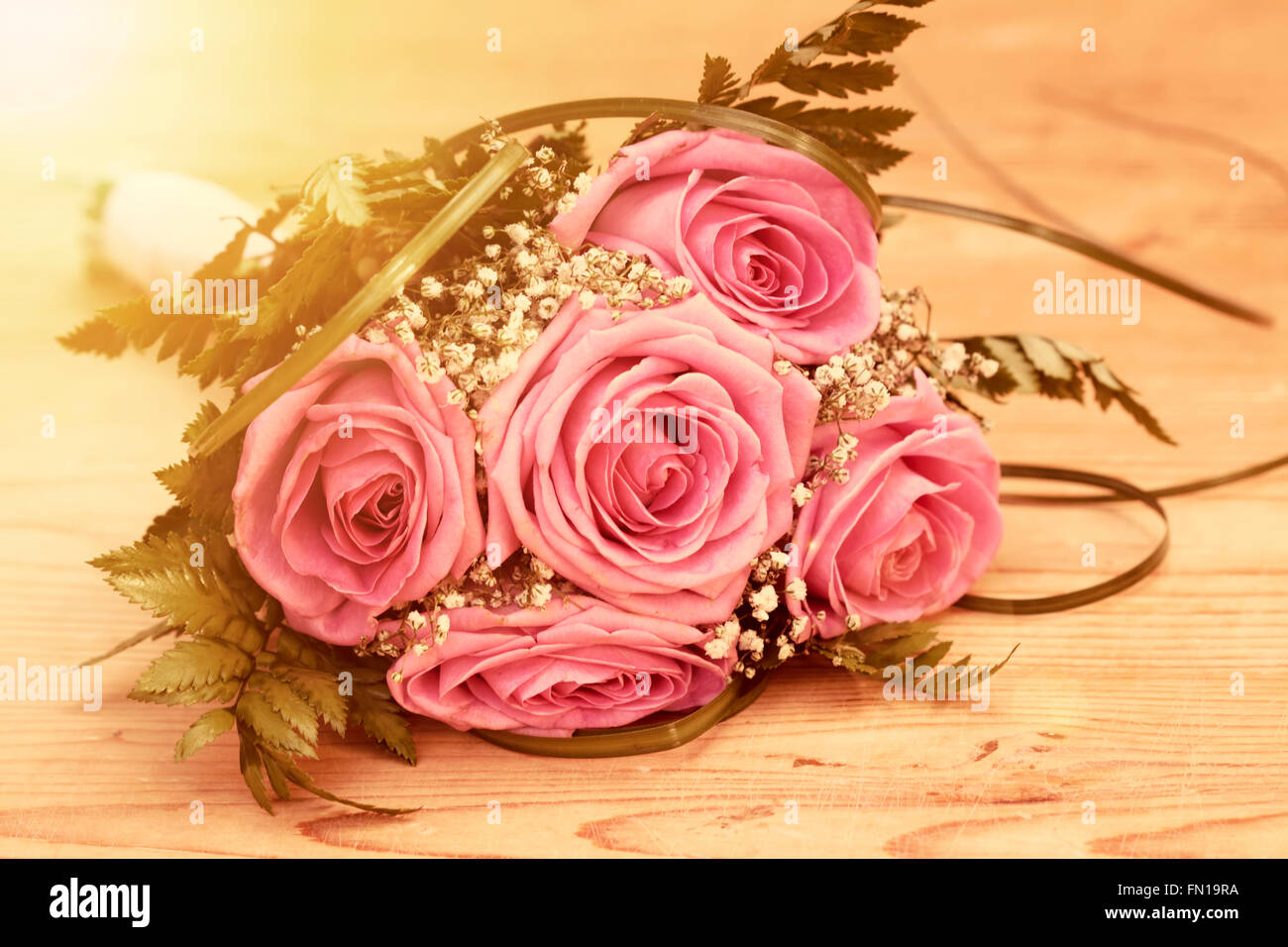 Bouquet of fresh pink roses in the sunset Stock Photo - Alamy