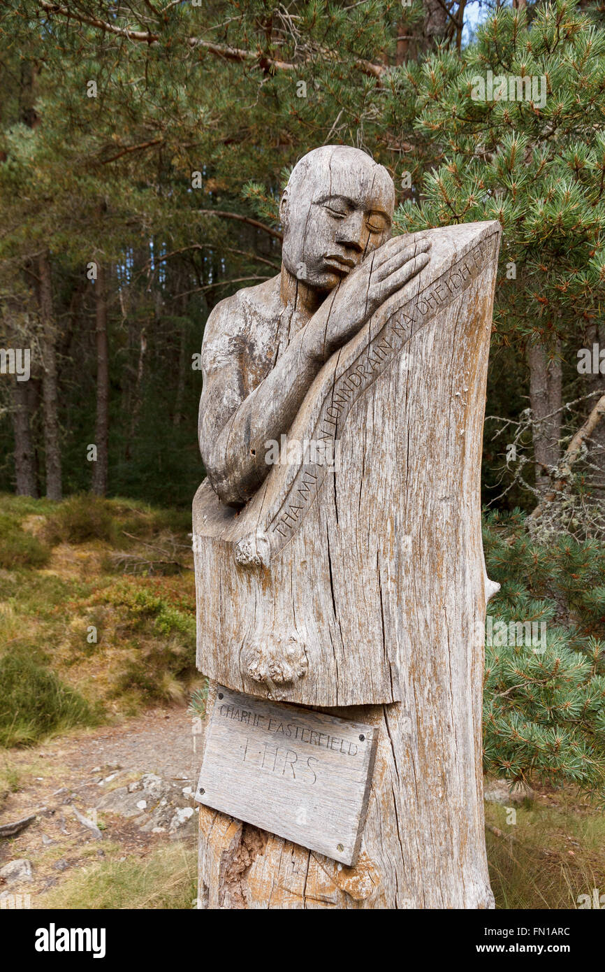 A graceful wood carving by Charlie Easterfield in the Allean Forest ...