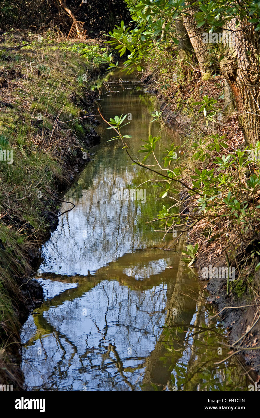 English stream hi-res stock photography and images - Alamy