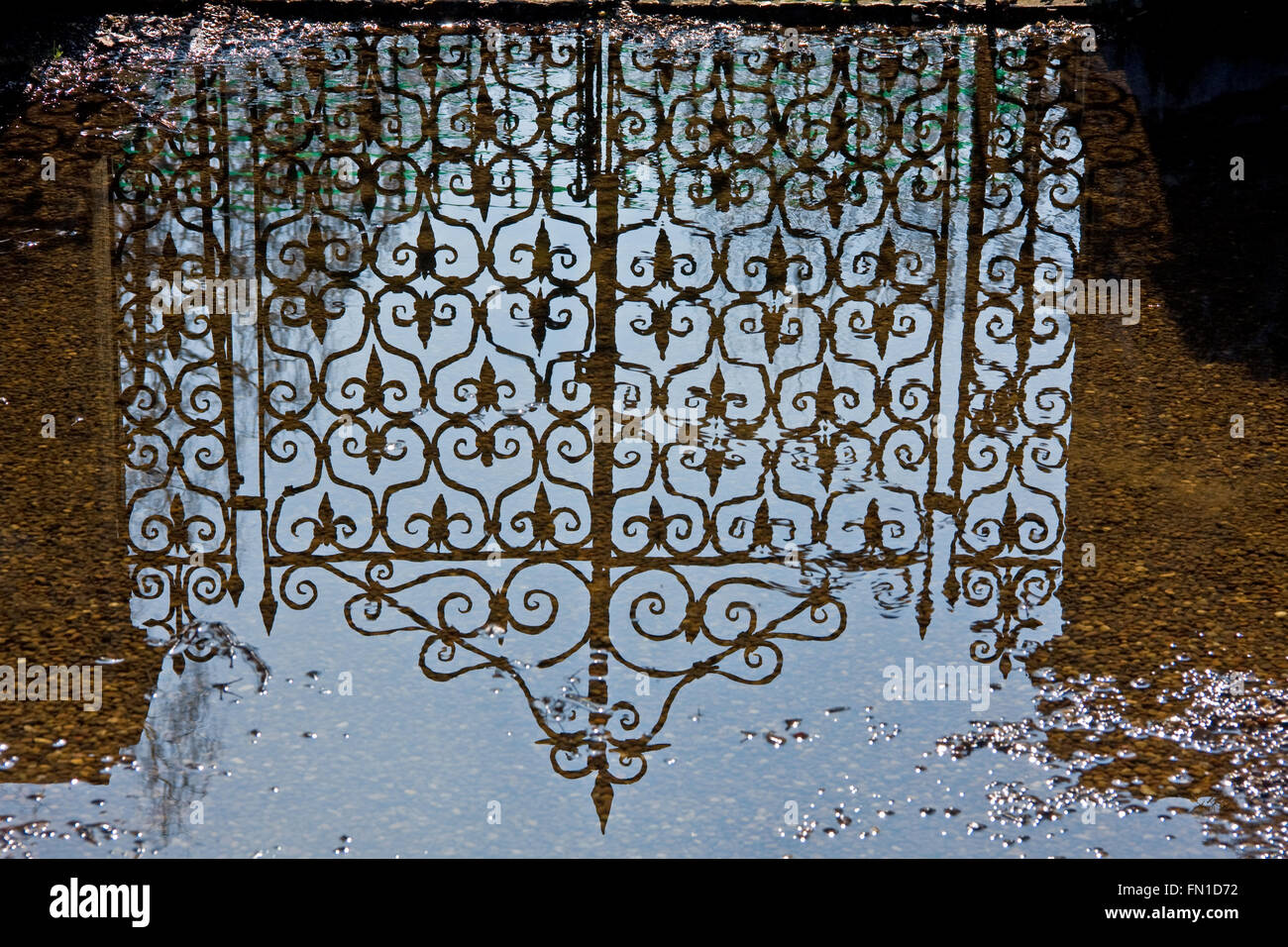 Reflections in a Puddle Stock Photo - Alamy