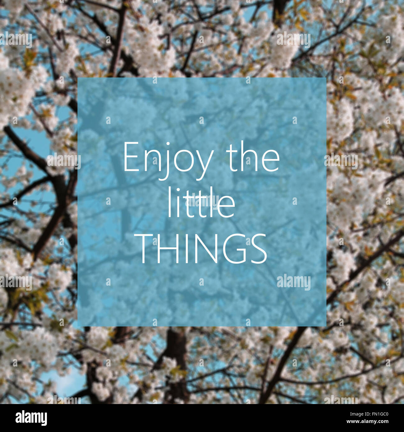 Enjoy the little things text with white flowers in the background Stock ...