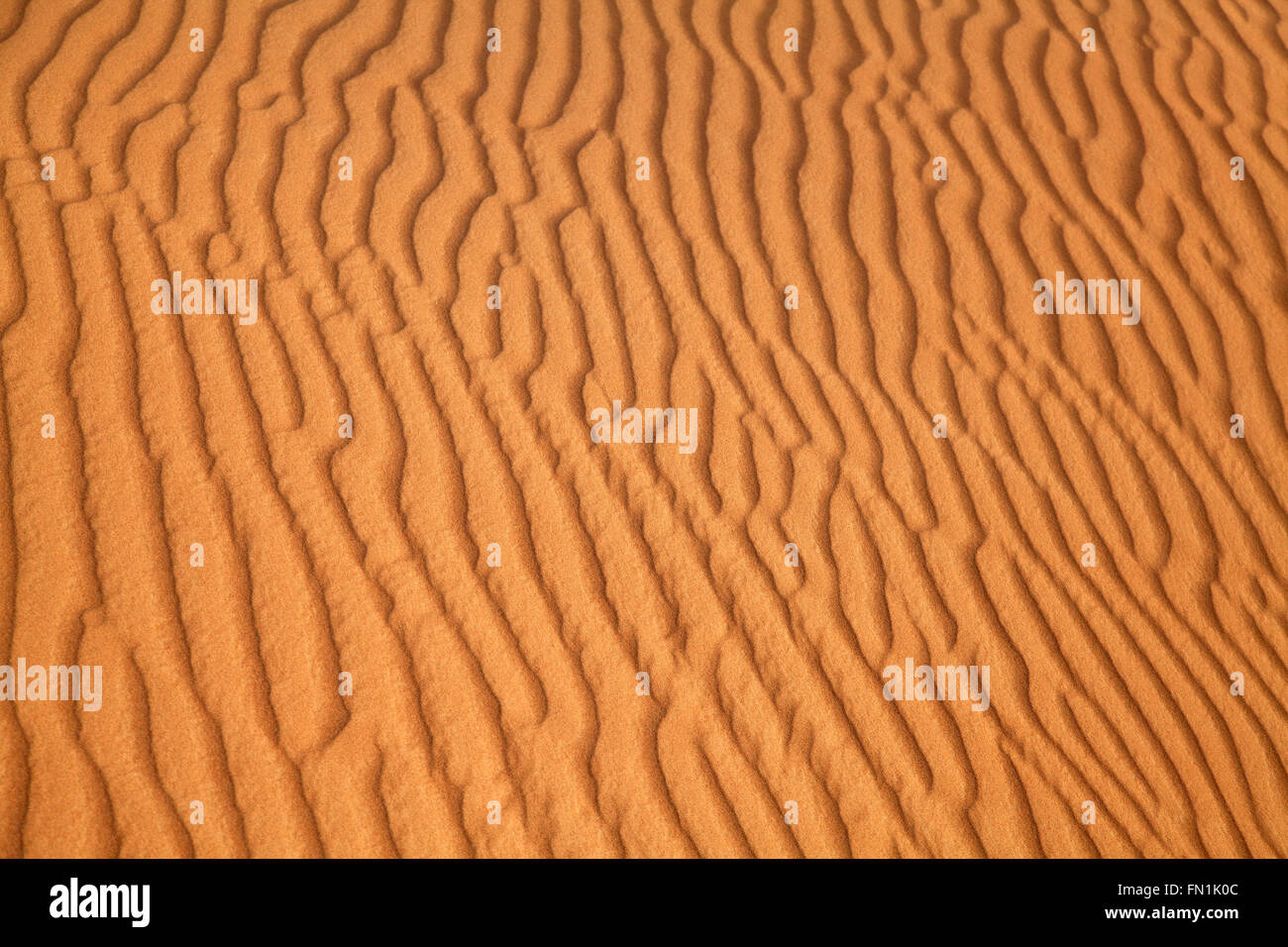 Red sand "Arabian desert" near Dubai, United Arab Emirates Stock Photo ...