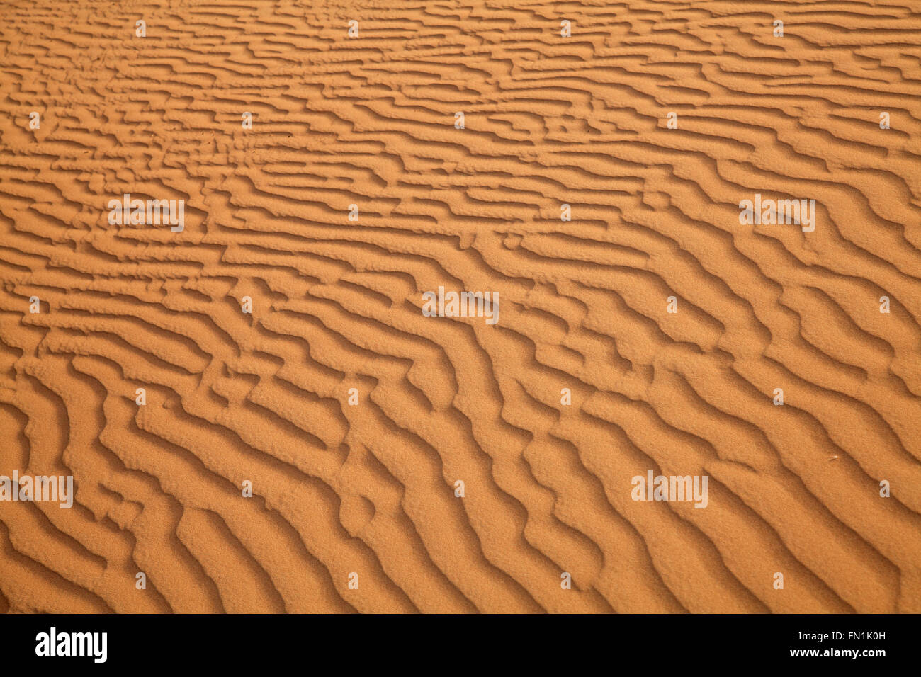 Red sand "Arabian desert" near Dubai, United Arab Emirates Stock Photo ...