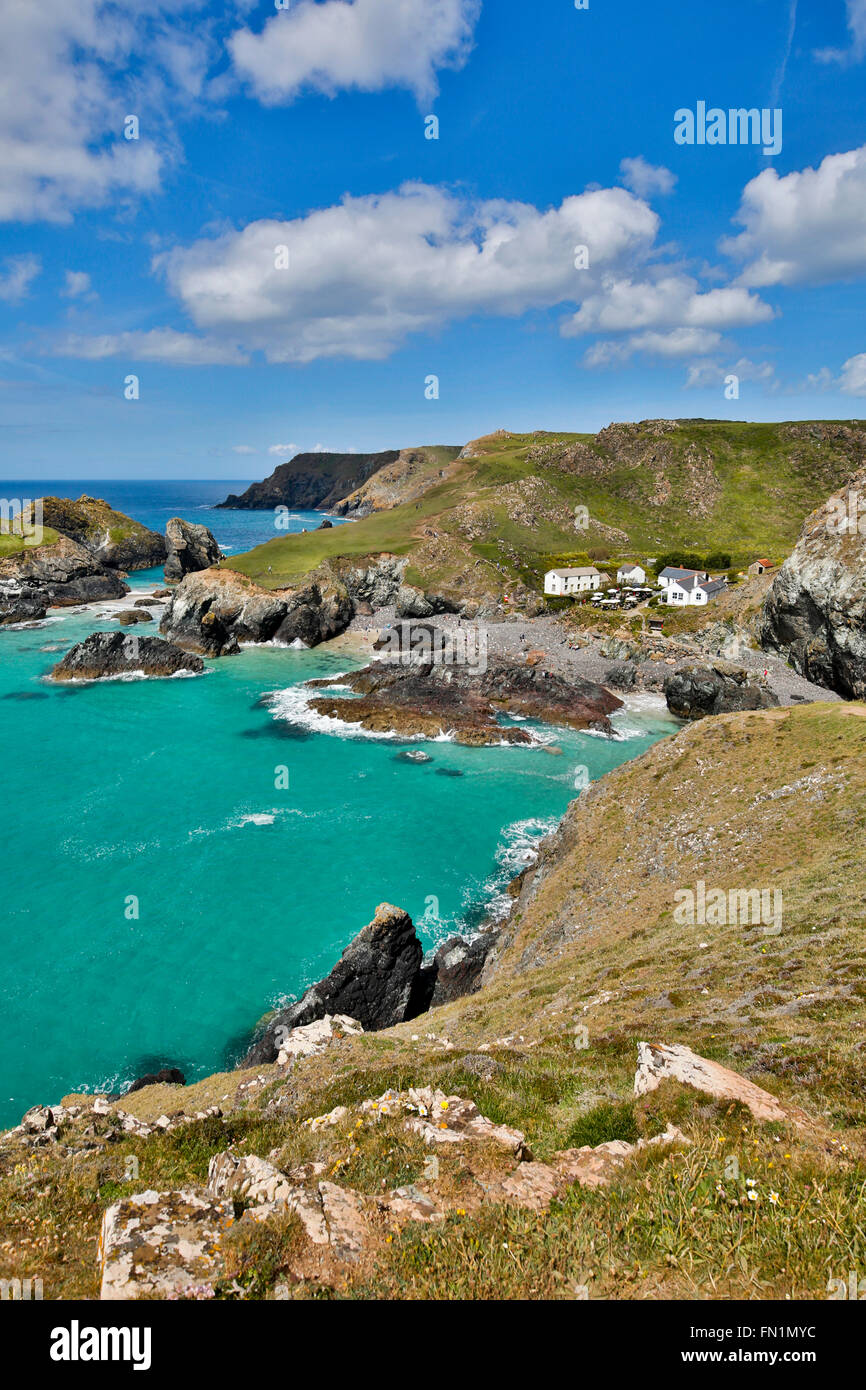 Kynance Cove; Cornwall; UK Stock Photo - Alamy