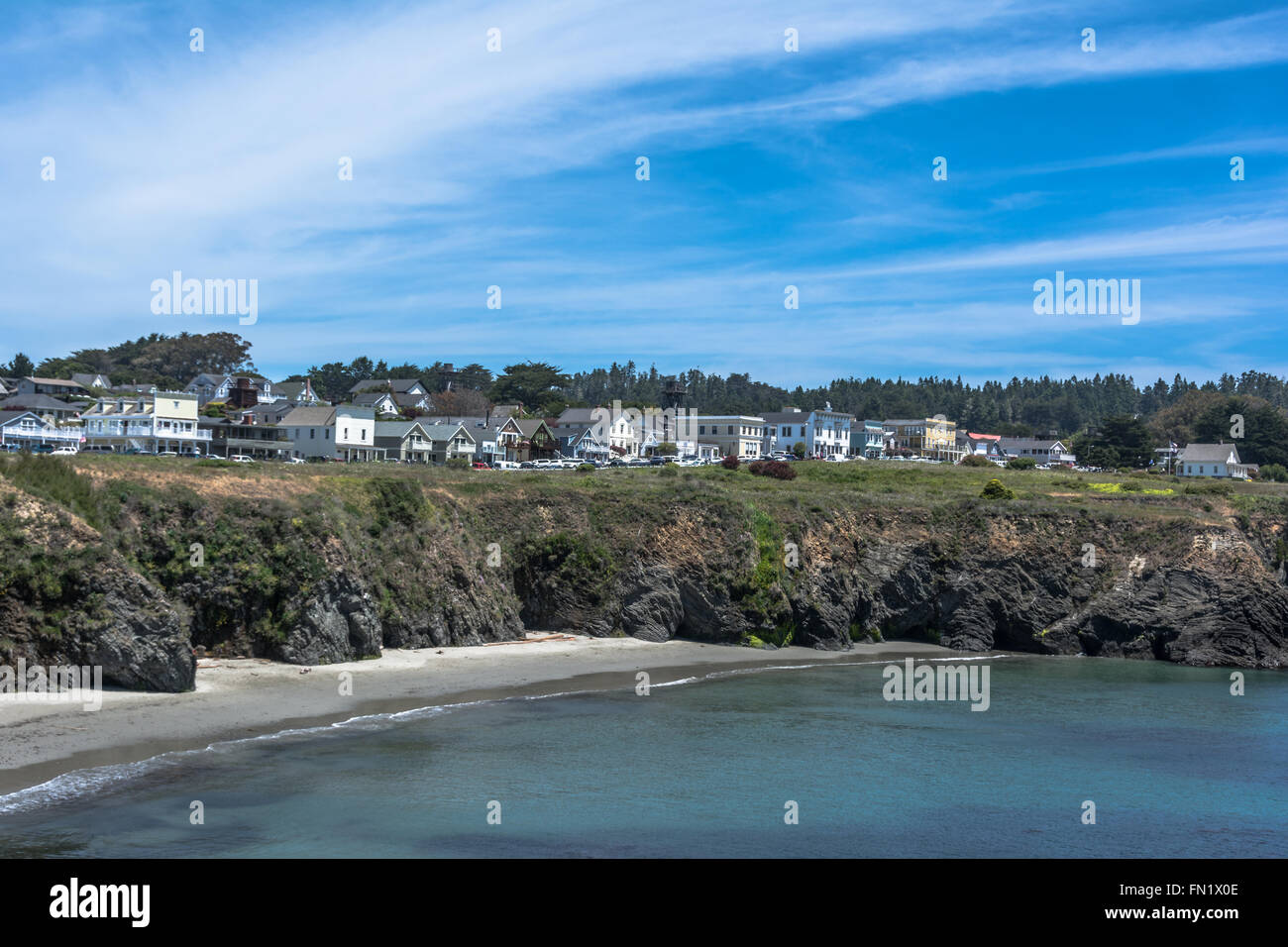 Mendocino coast forest hi-res stock photography and images - Alamy