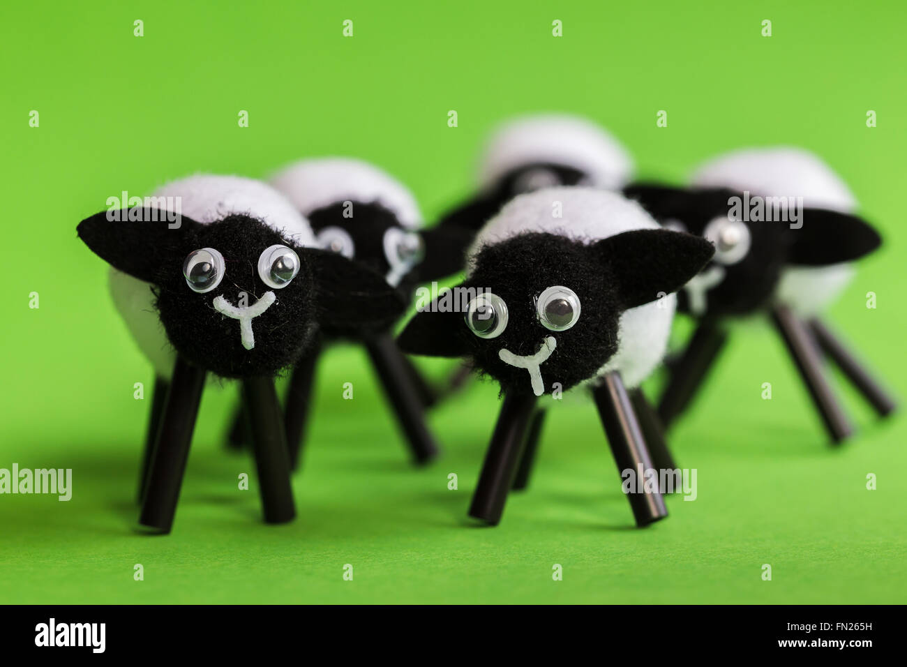 A close-up image of a group of miniature lambs Stock Photo - Alamy