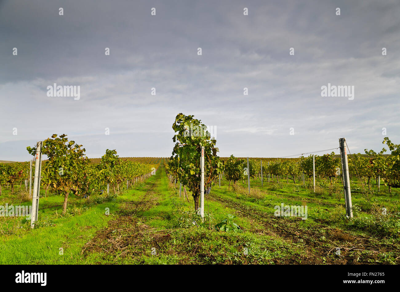 Karnobat hi-res stock photography and images - Alamy