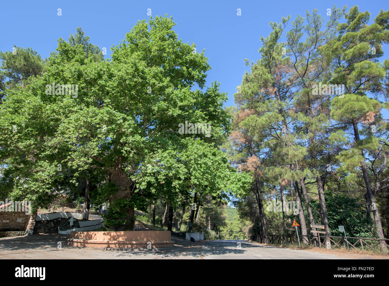 Archipolis hi-res stock photography and images - Alamy