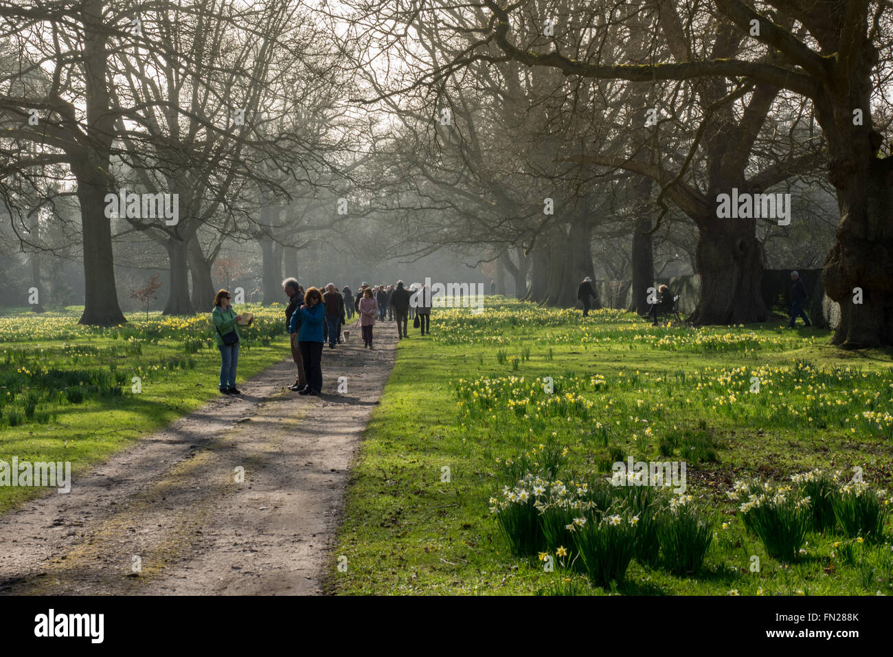 Madresfield court hi-res stock photography and images - Alamy