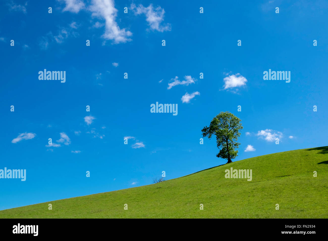 Green hill with blue sky hi-res stock photography and images - Alamy