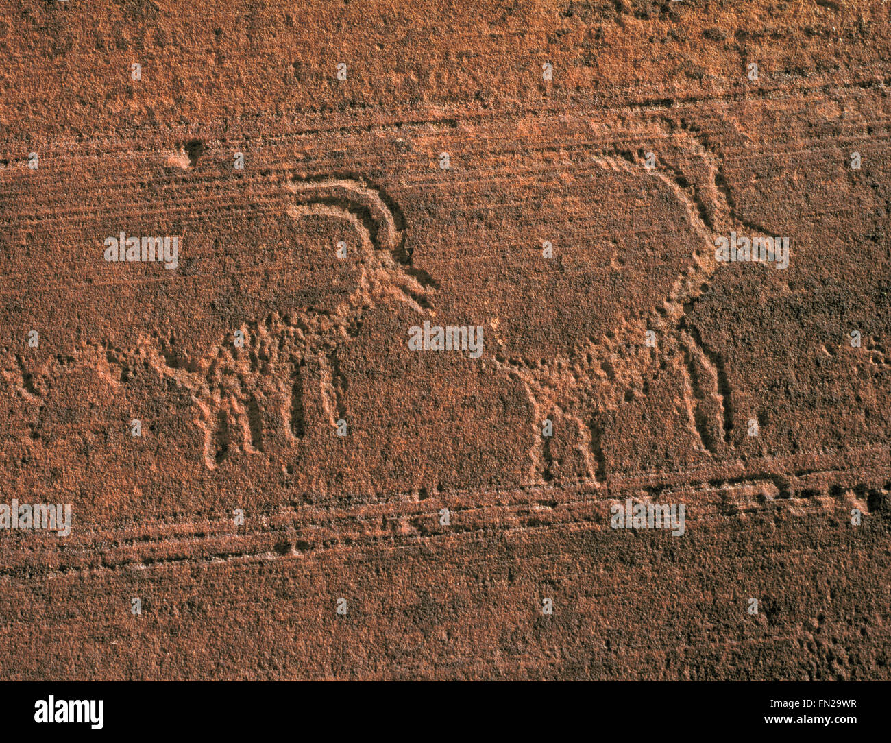 native american petroglyphs carved into cliff wall of buckskin gulch ...