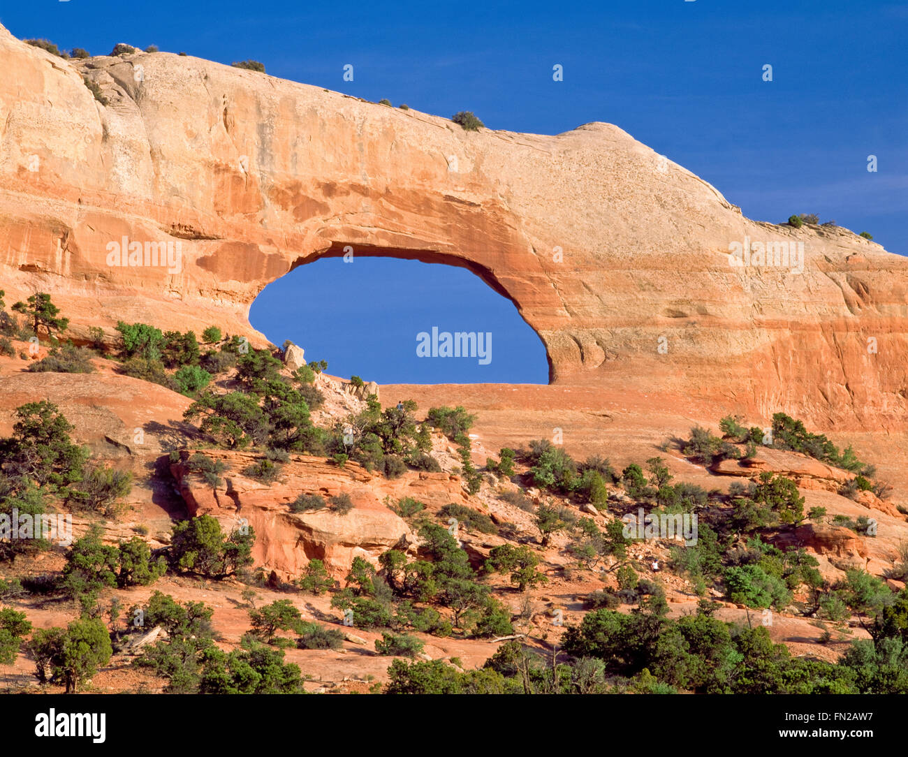 wilson arch near moab, utah Stock Photo - Alamy