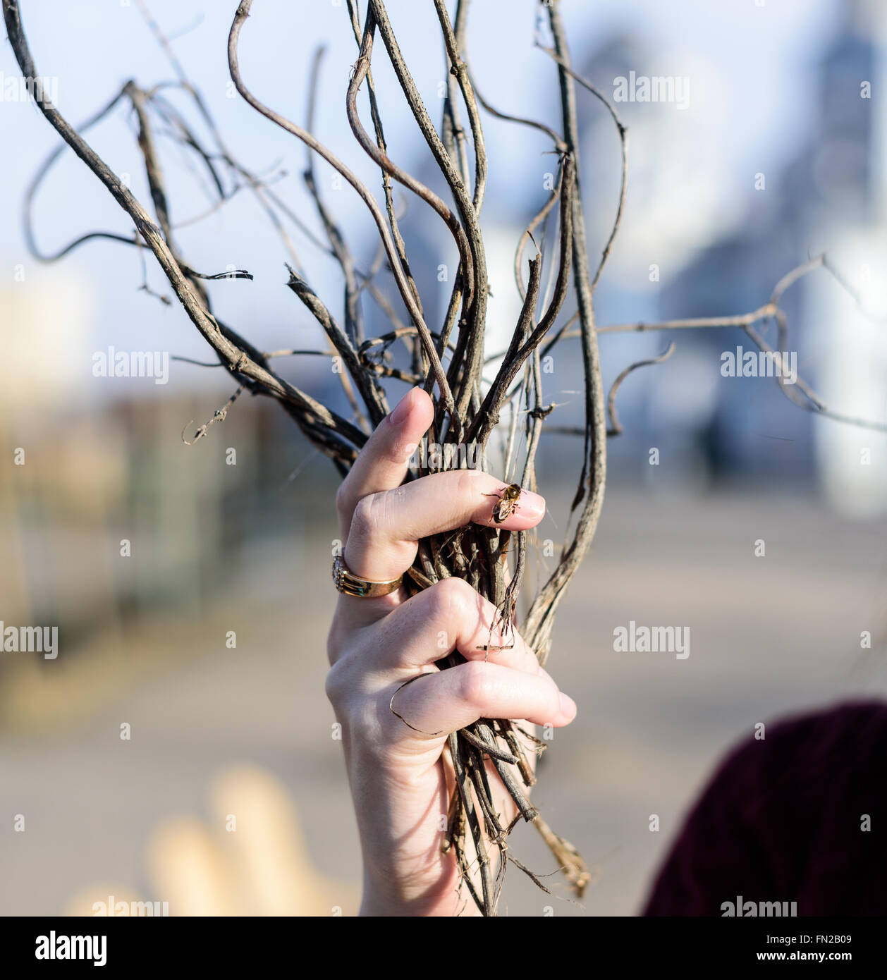 Kid tree sticks hi-res stock photography and images - Alamy