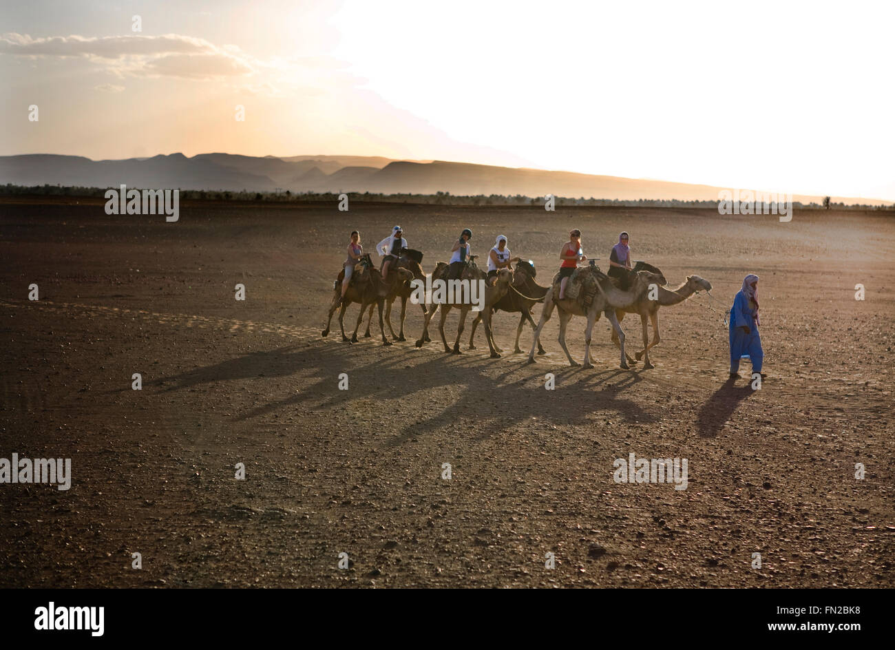 Camel mounting hi-res stock photography and images - Alamy