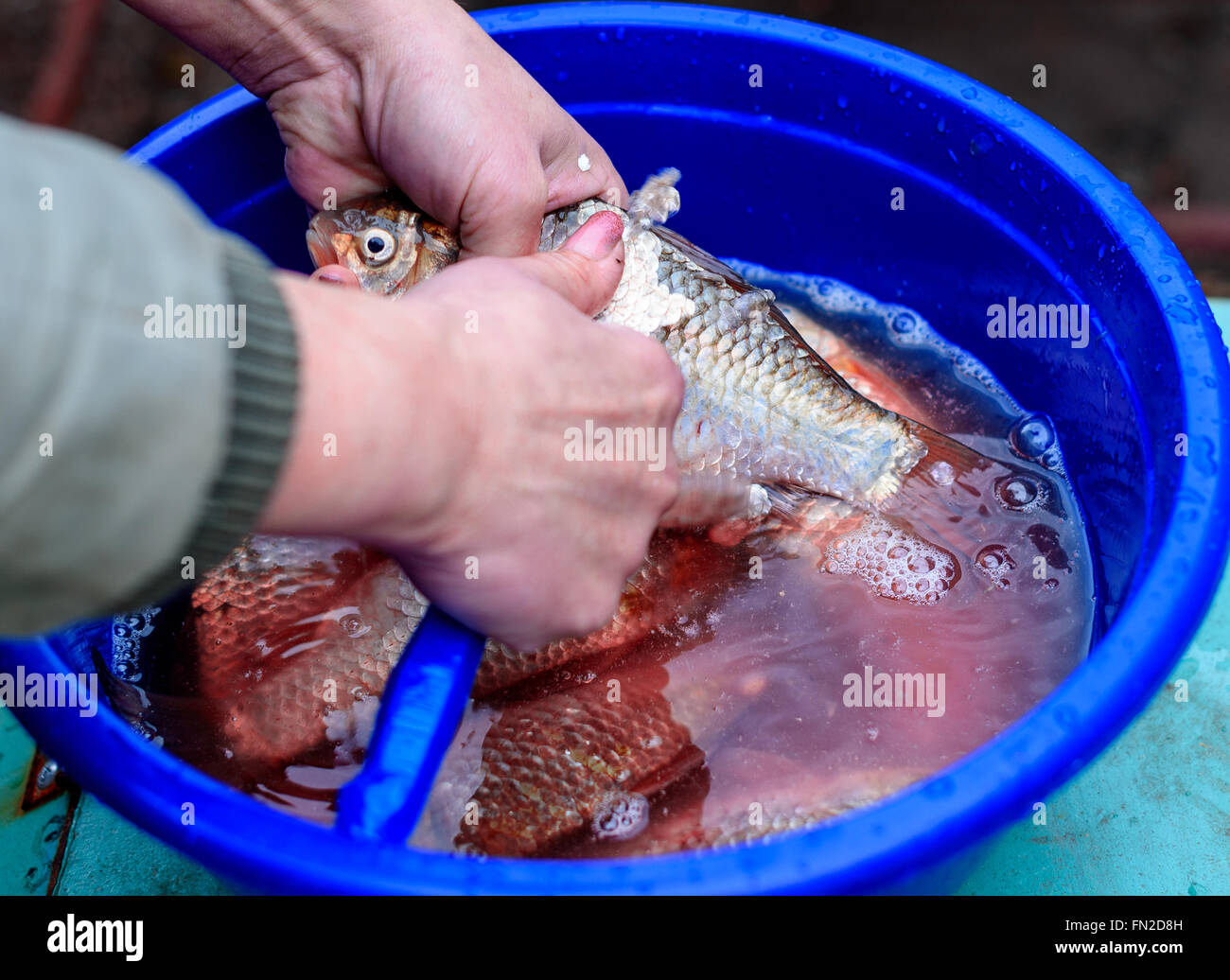 Fish guts cooking hi-res stock photography and images - Alamy