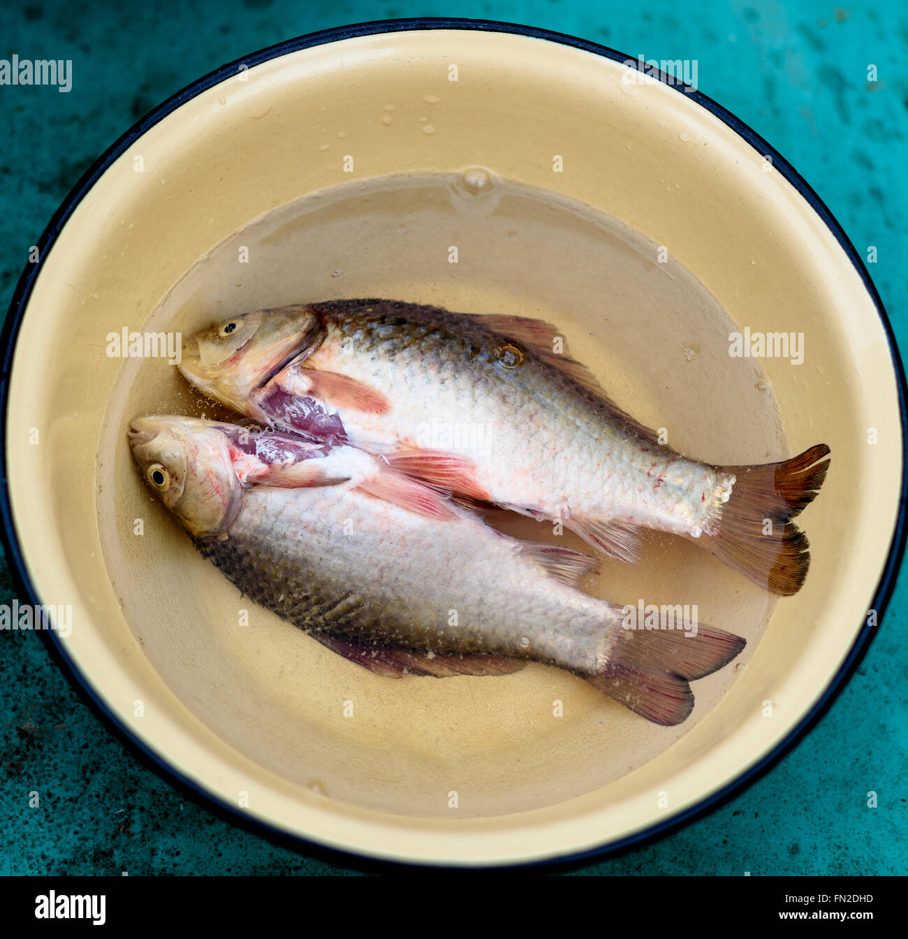 Purified fish is in a dish preparing for frying Stock Photo - Alamy