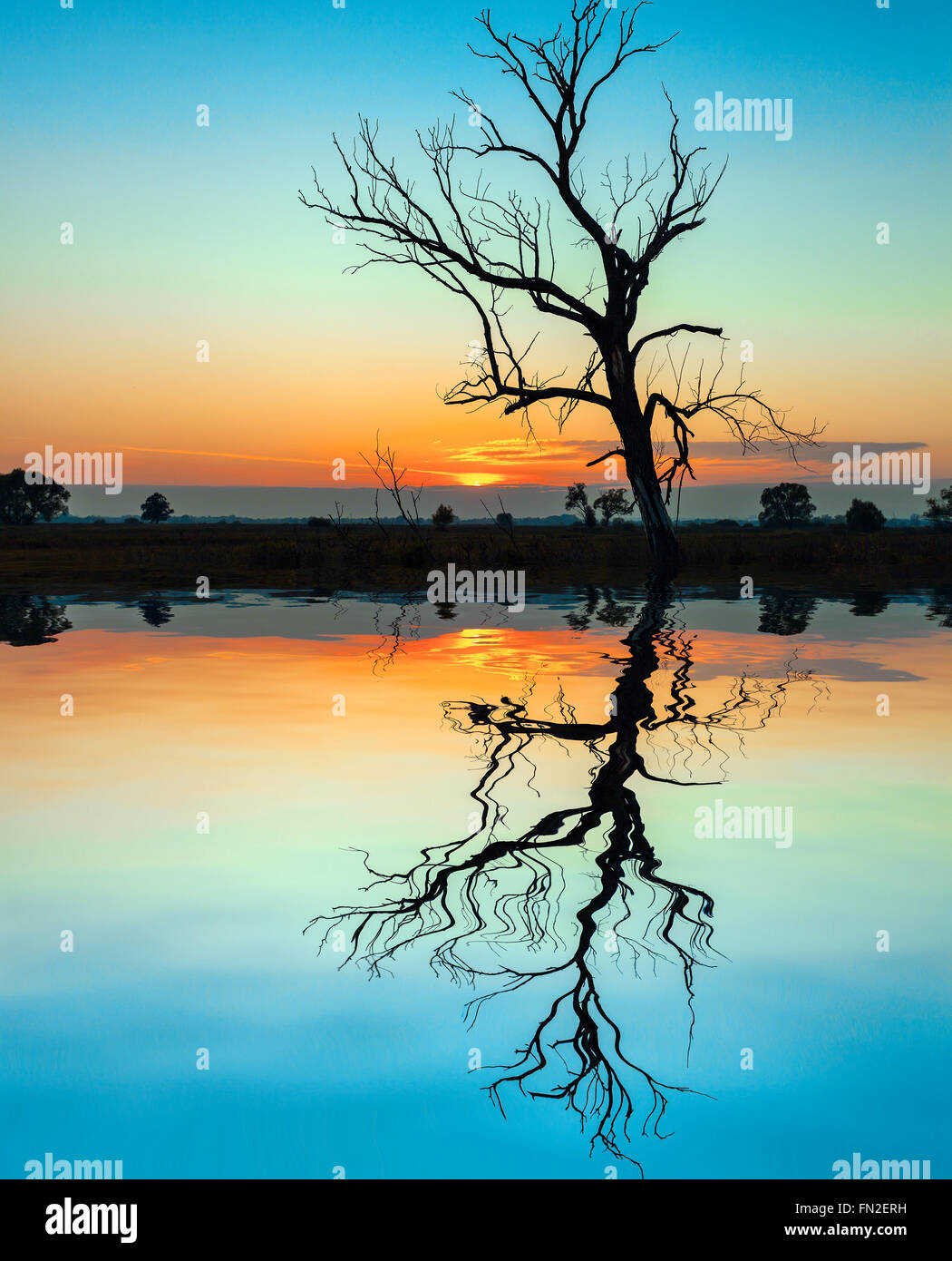 Beautiful reflective still waters hi-res stock photography and images ...