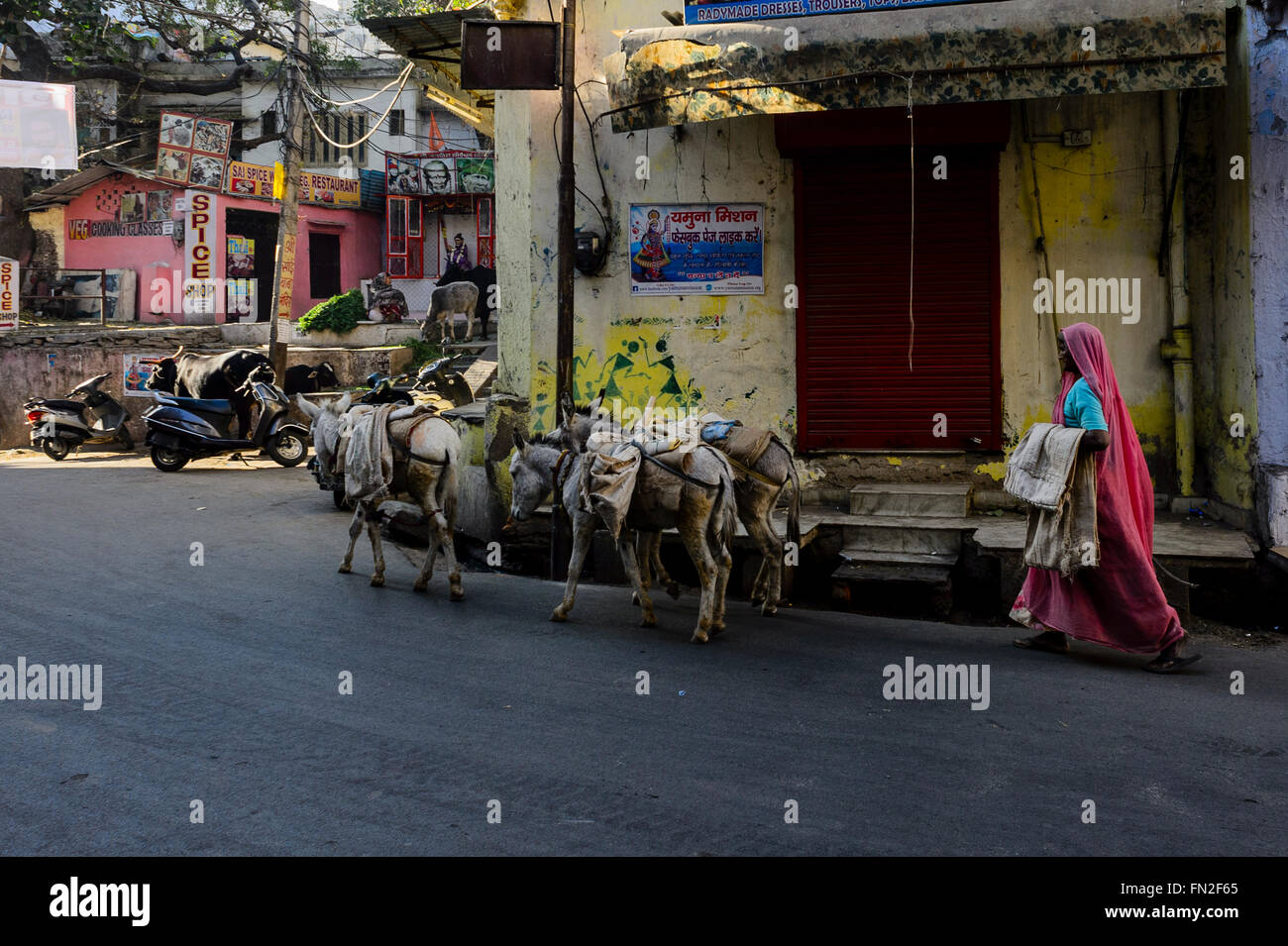 Donkeys on street in hi-res stock photography and images - Alamy