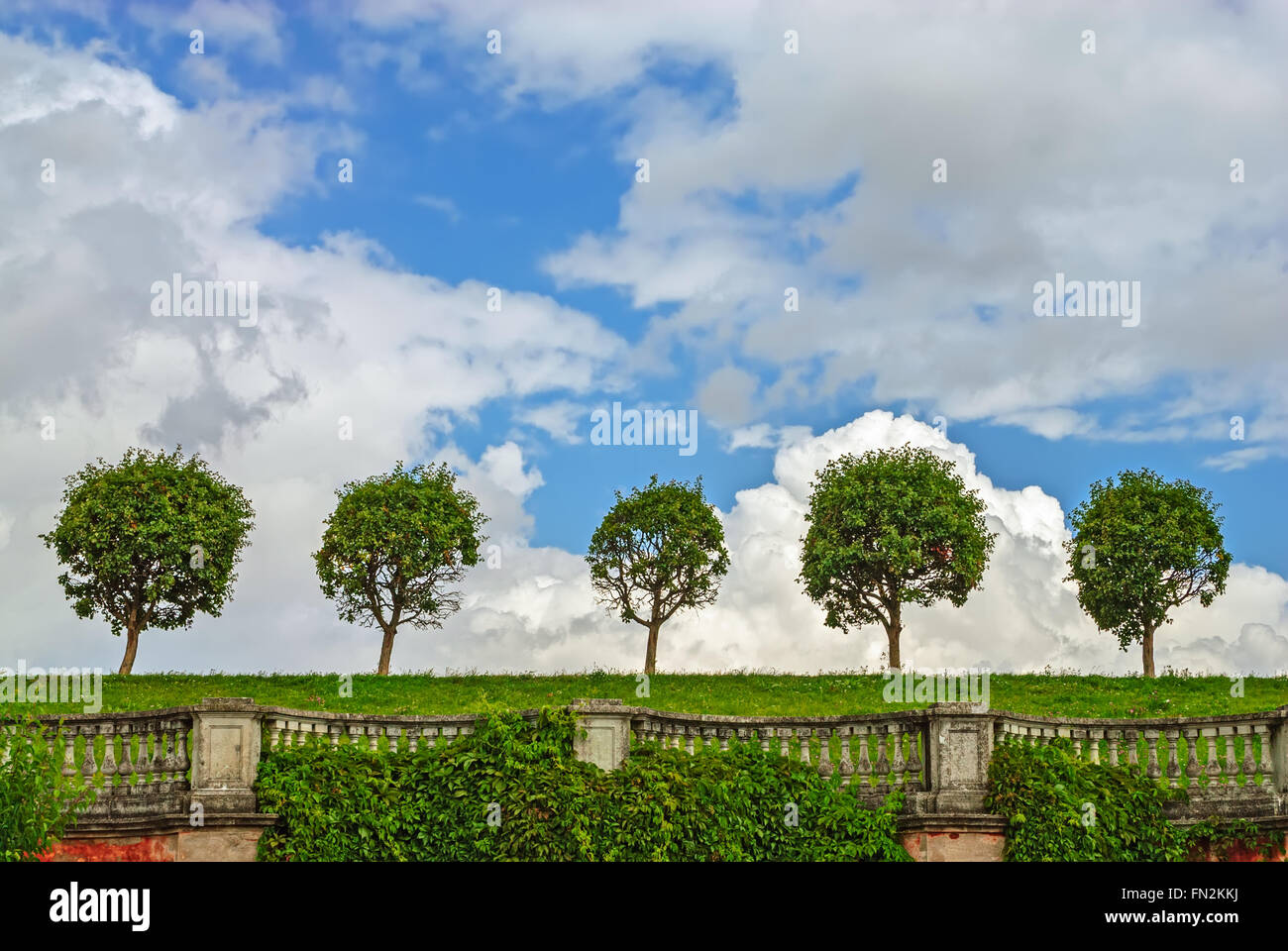 Trees in line on lawn and vintage balustrade Stock Photo - Alamy
