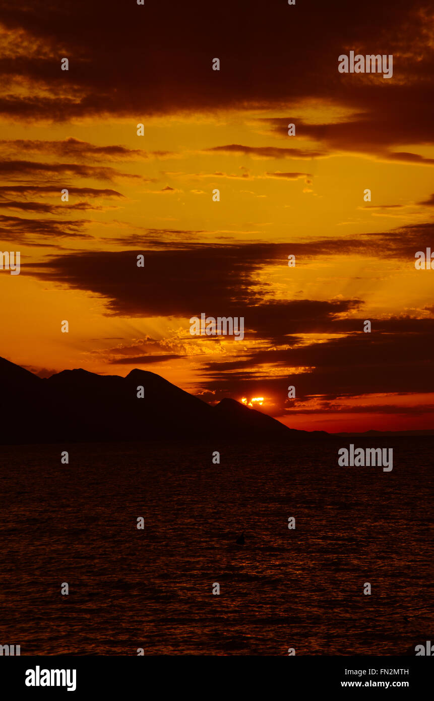 Sea of orange hi-res stock photography and images - Alamy