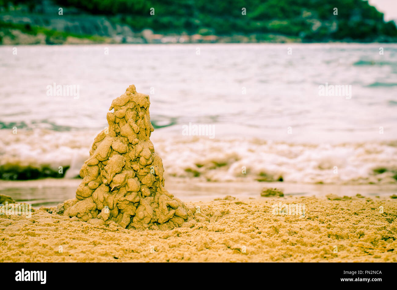 sand tree in the beach Stock Photo - Alamy