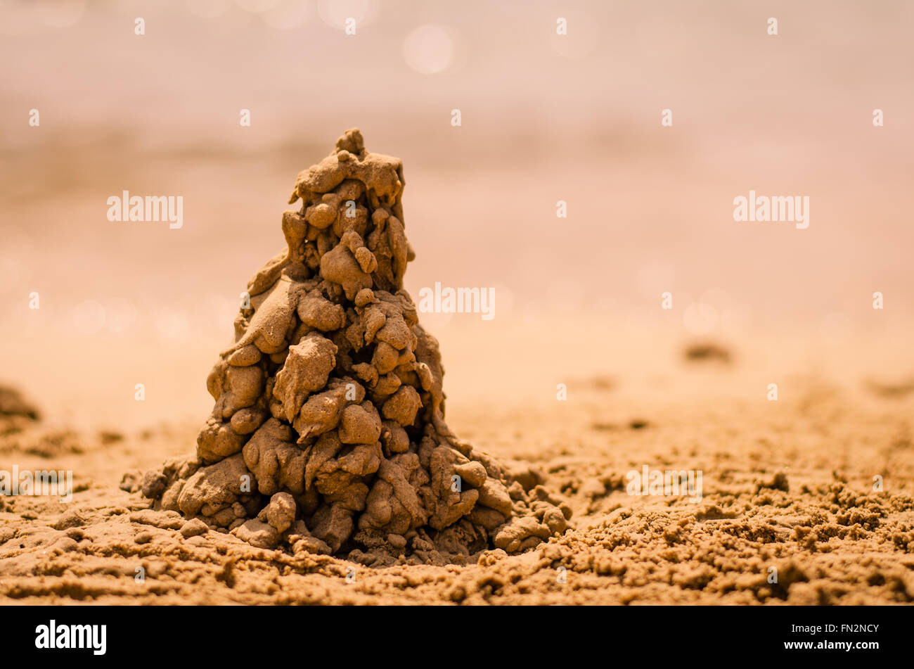 sand tree in the beach Stock Photo - Alamy