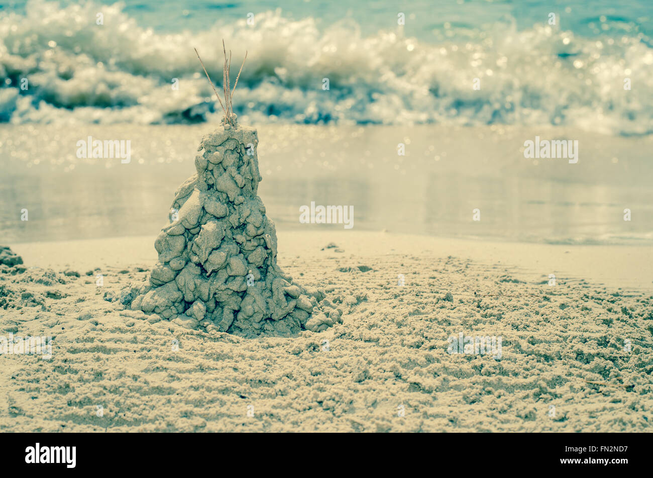 sand tree in the beach Stock Photo - Alamy