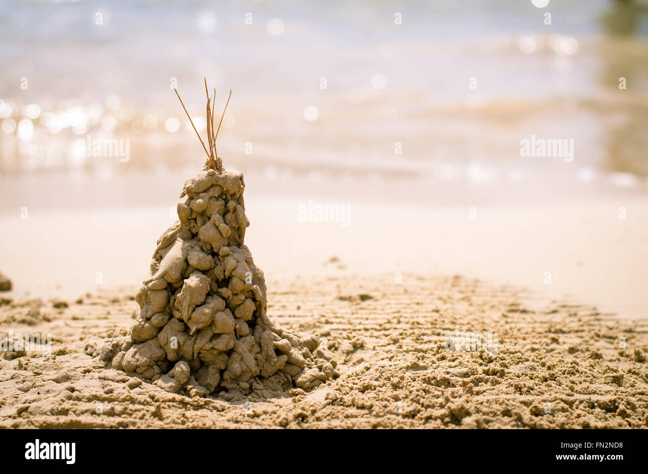 sand tree in the beach Stock Photo - Alamy