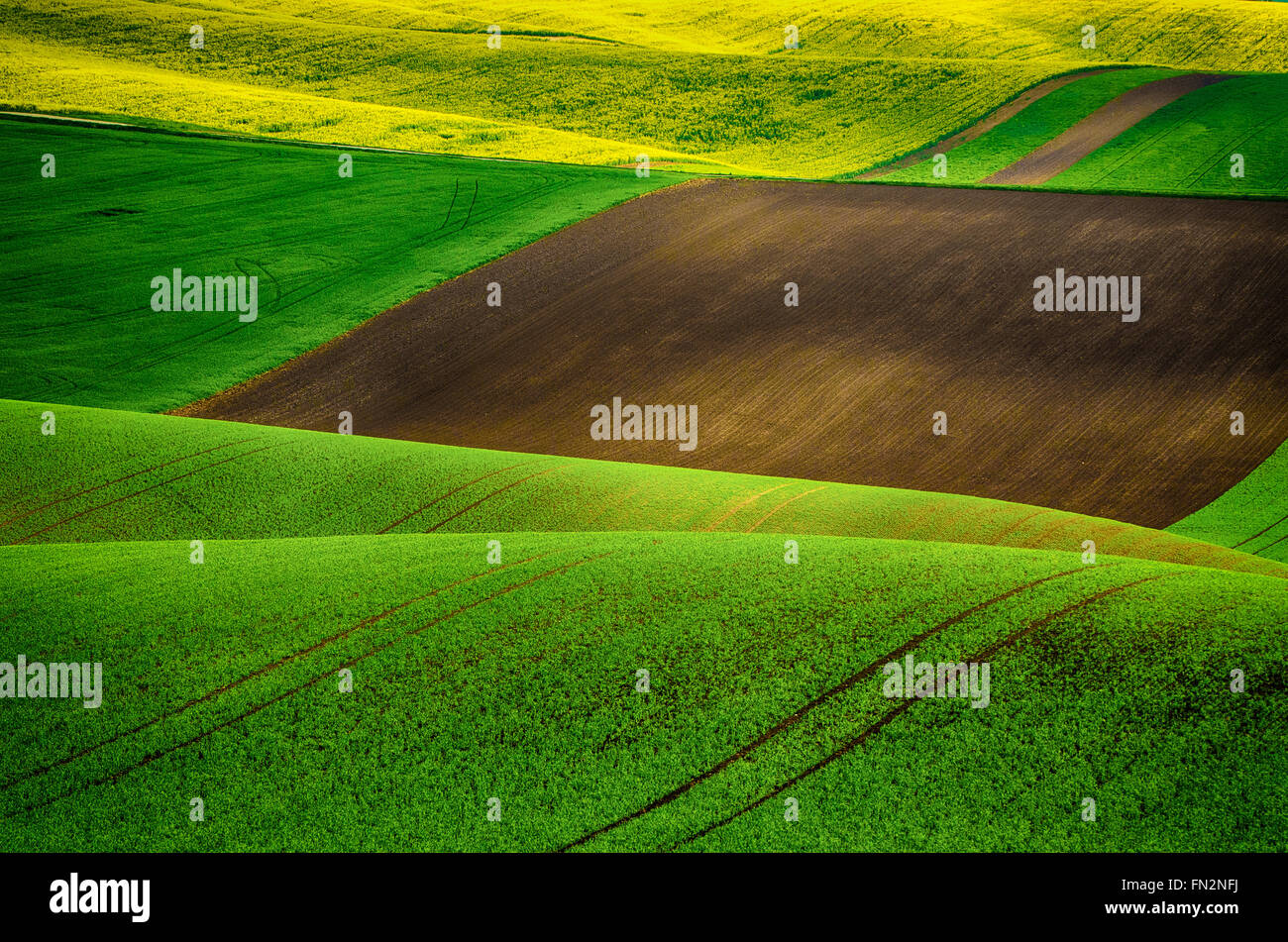 Rural spring landscape Stock Photo - Alamy