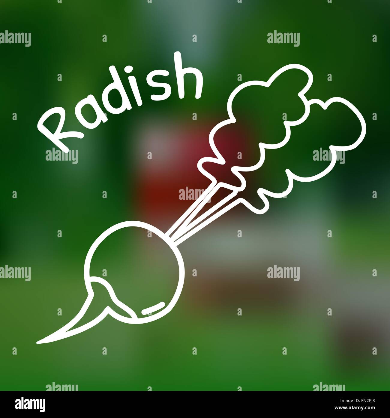 White thin line icon of radish with name on mesh background Stock ...
