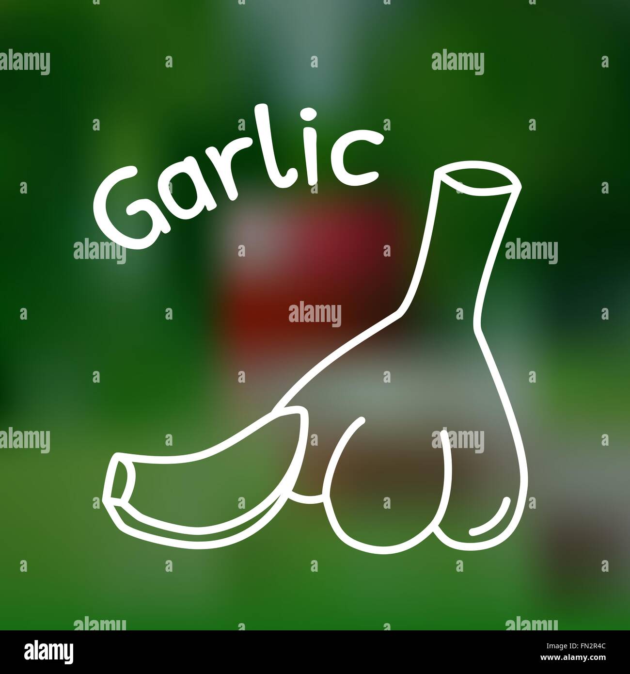 White thin line icon of garlic with name on mesh background Stock ...