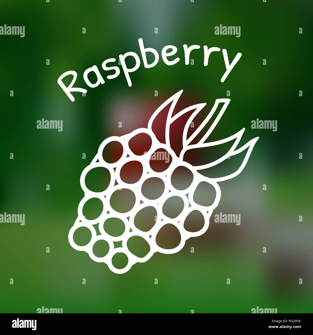 White thin line icon of raspberry with name on mesh background Stock ...