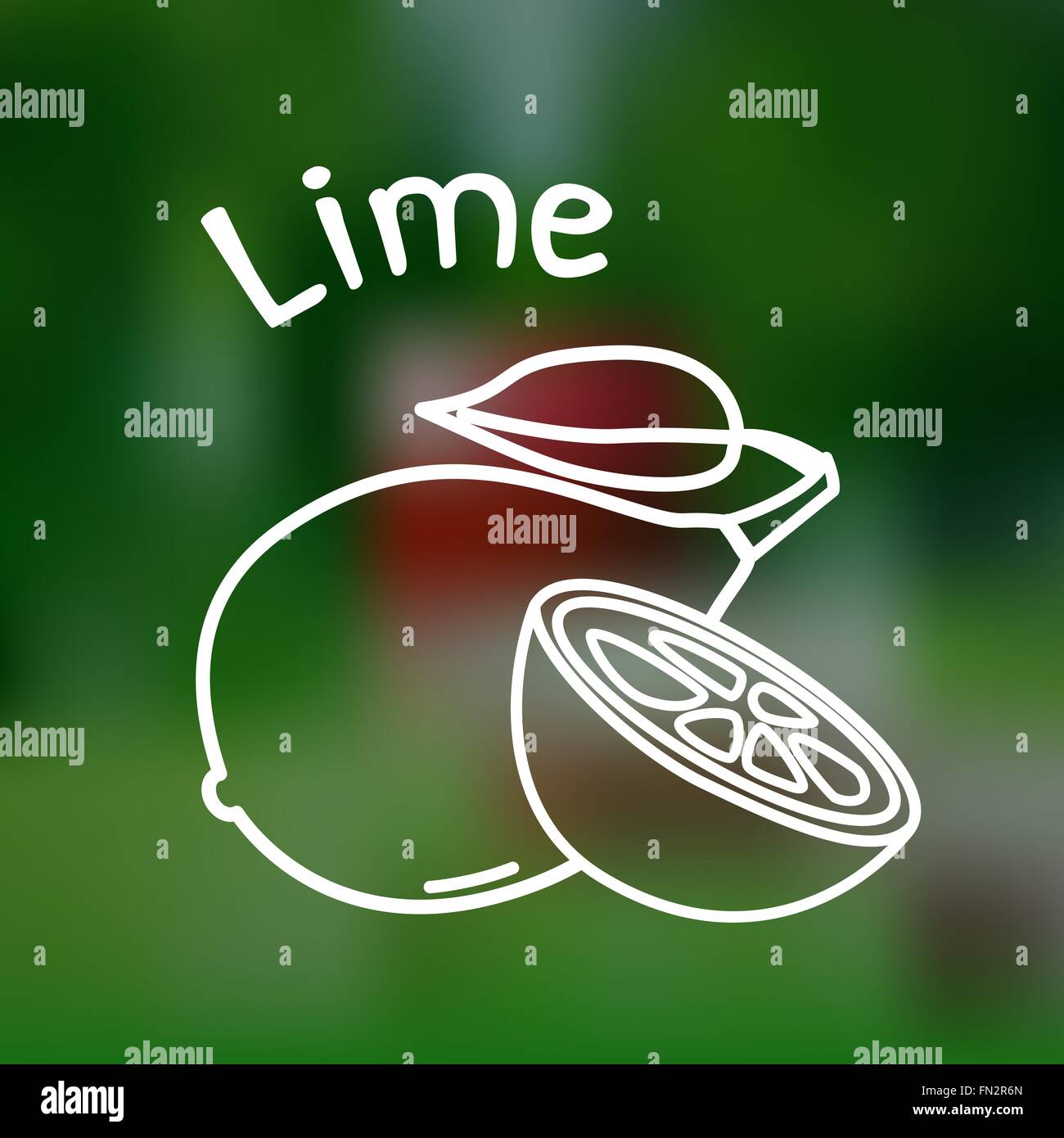 White thin line icon of lime with name on mesh background Stock Vector ...