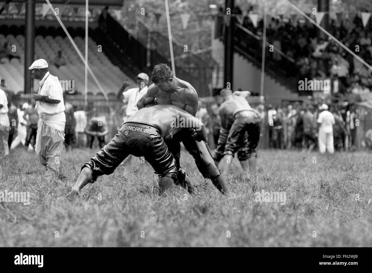 Wrestlers Turkish pehlivan at the competition in traditional Kirkpinar ...