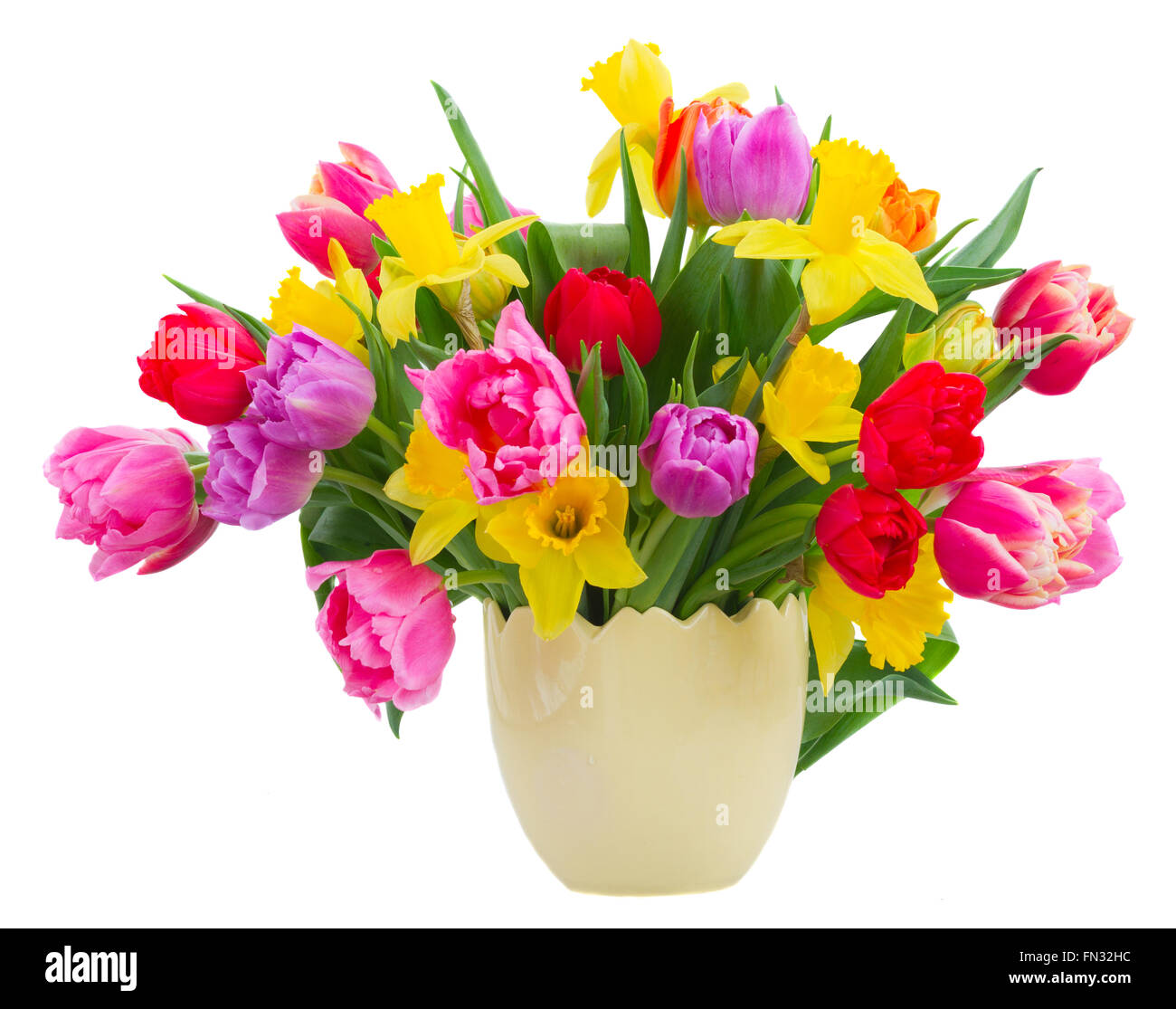 Tulips daffodils bloom flower Cut Out Stock Images & Pictures - Alamy