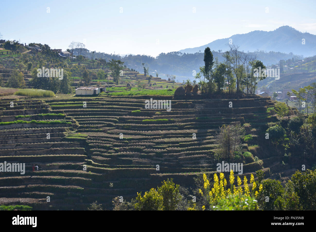 Nepal kathmandu landscape hi-res stock photography and images - Alamy