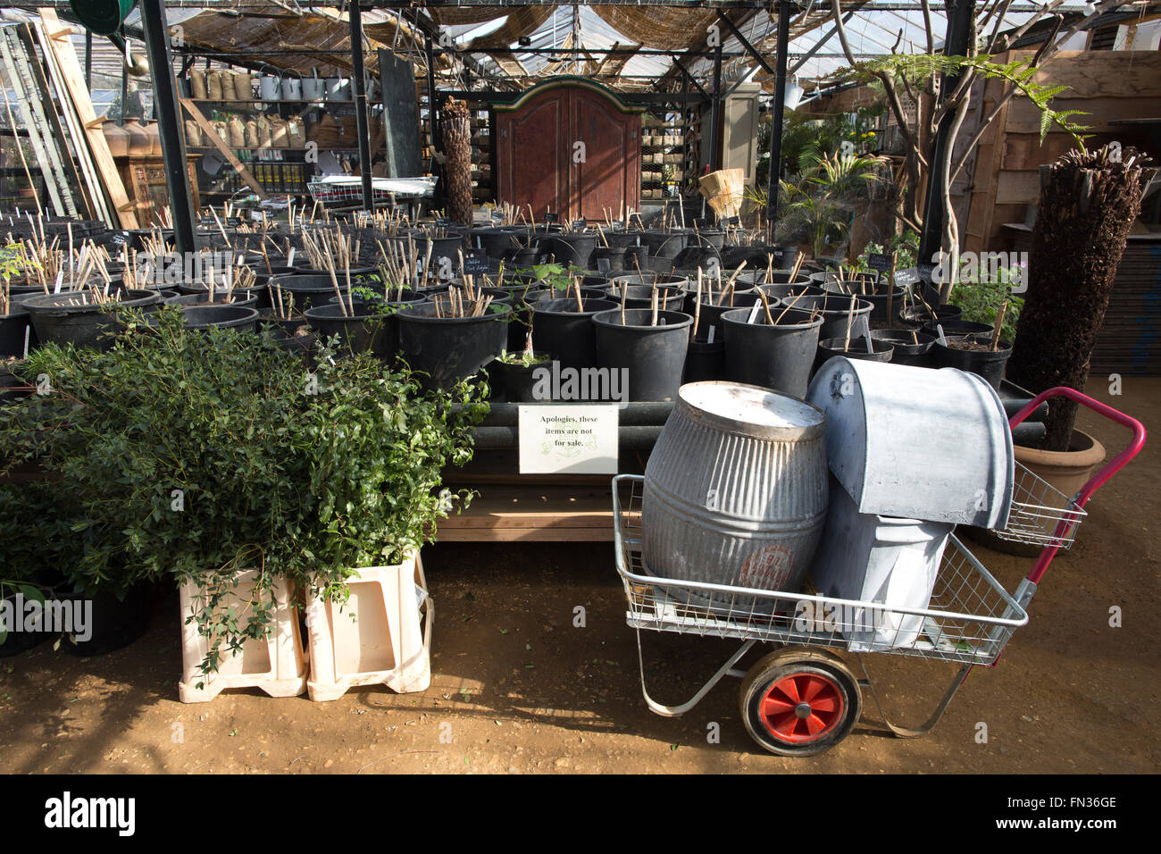 Petersham Nurseries bohemian jumble of greenhouses and gardens of ...