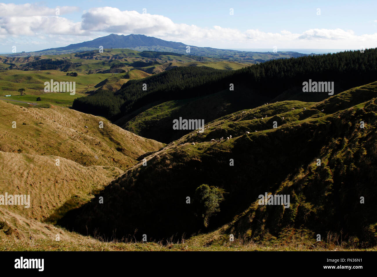 Looking down valley in New Zealand Stock Photo - Alamy