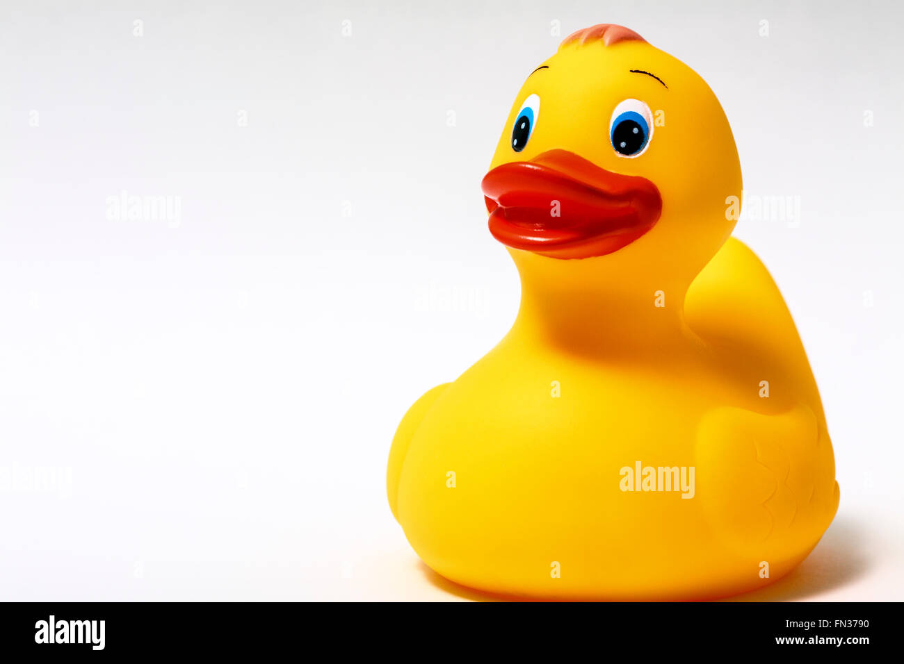 Yellow plastic duck isolated on a white background Stock Photo - Alamy
