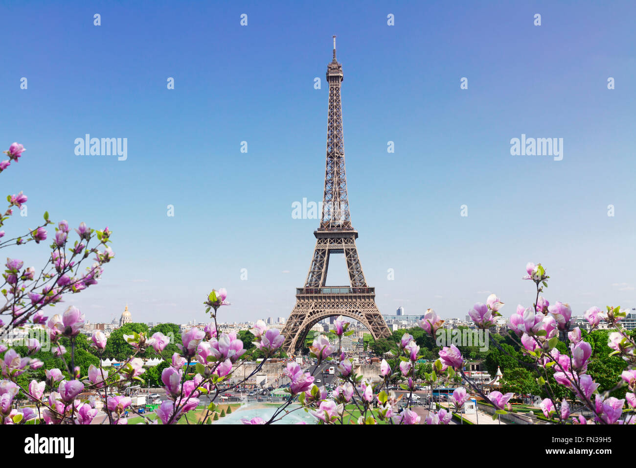 Eiffel Tower and Paris cityscape Stock Photo - Alamy