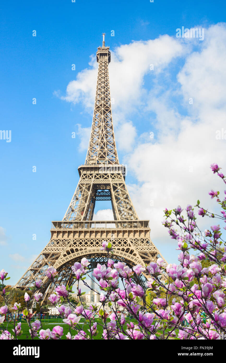 Eiffel Tower and Paris cityscape Stock Photo - Alamy