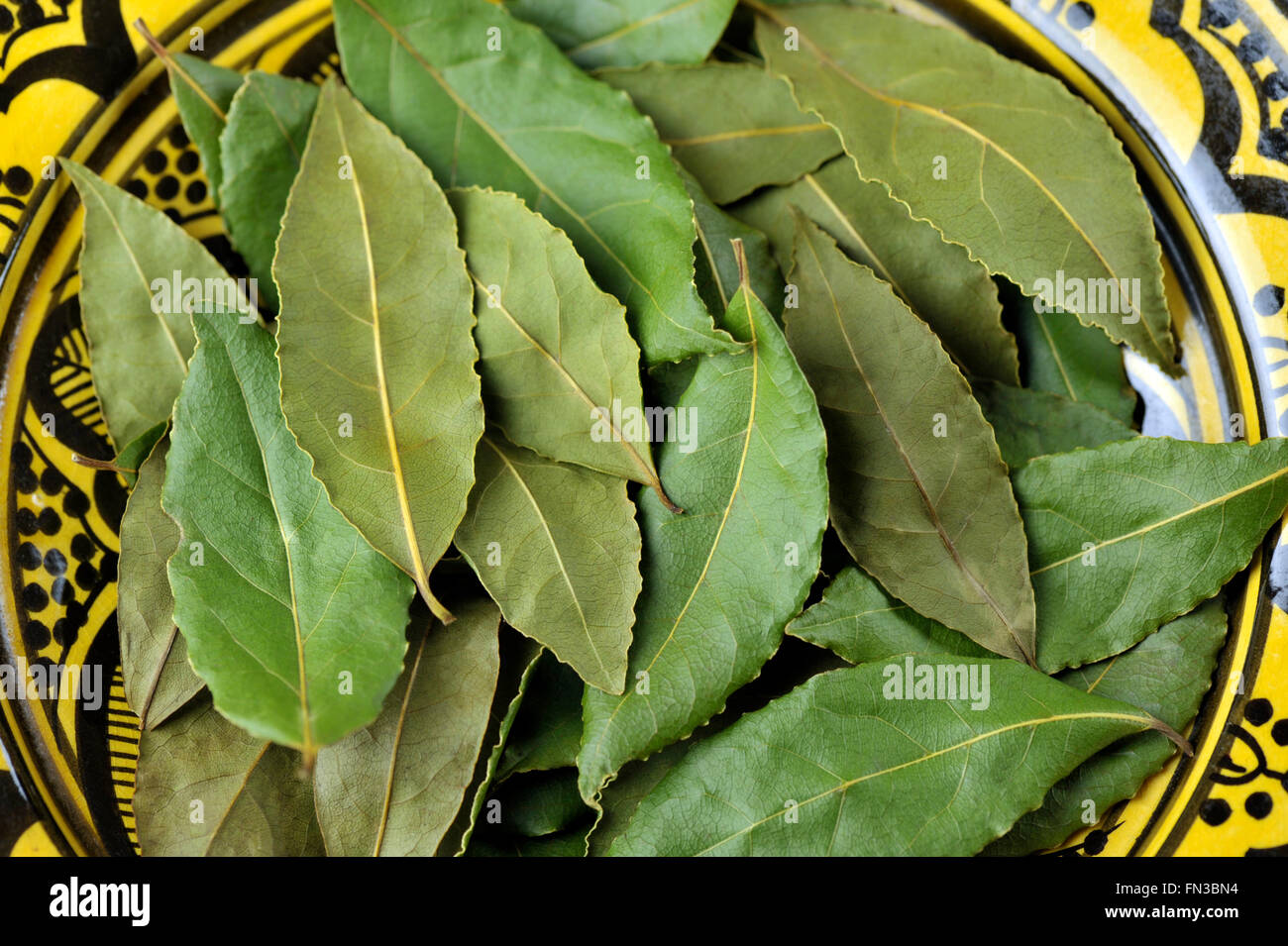 Whole dried Bay or Bay Laurel leaves used in cooking to flavor dishes ...