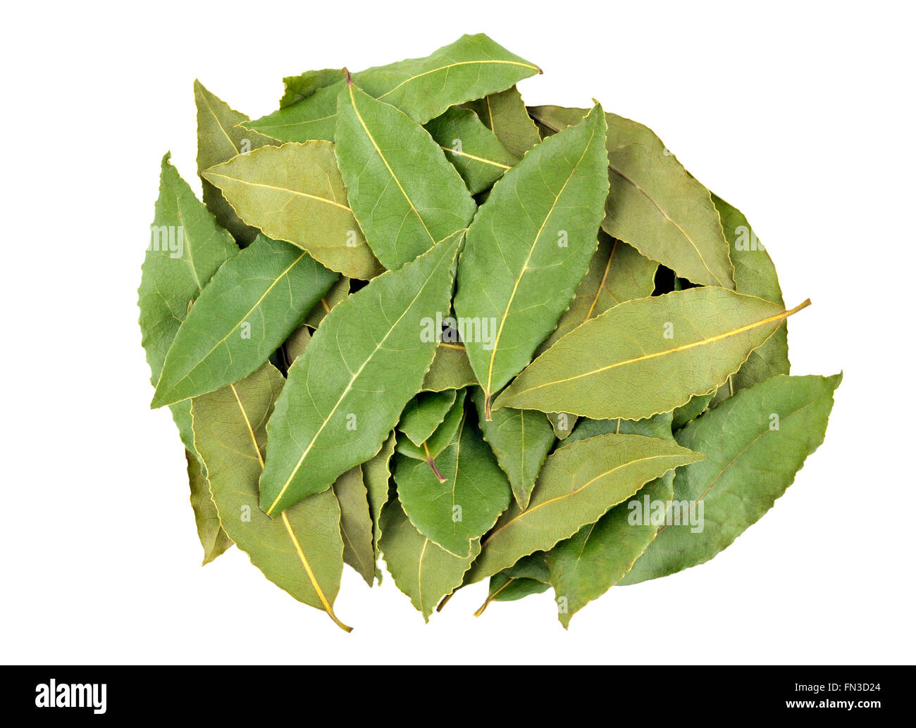 Whole bay leaves hi-res stock photography and images - Alamy