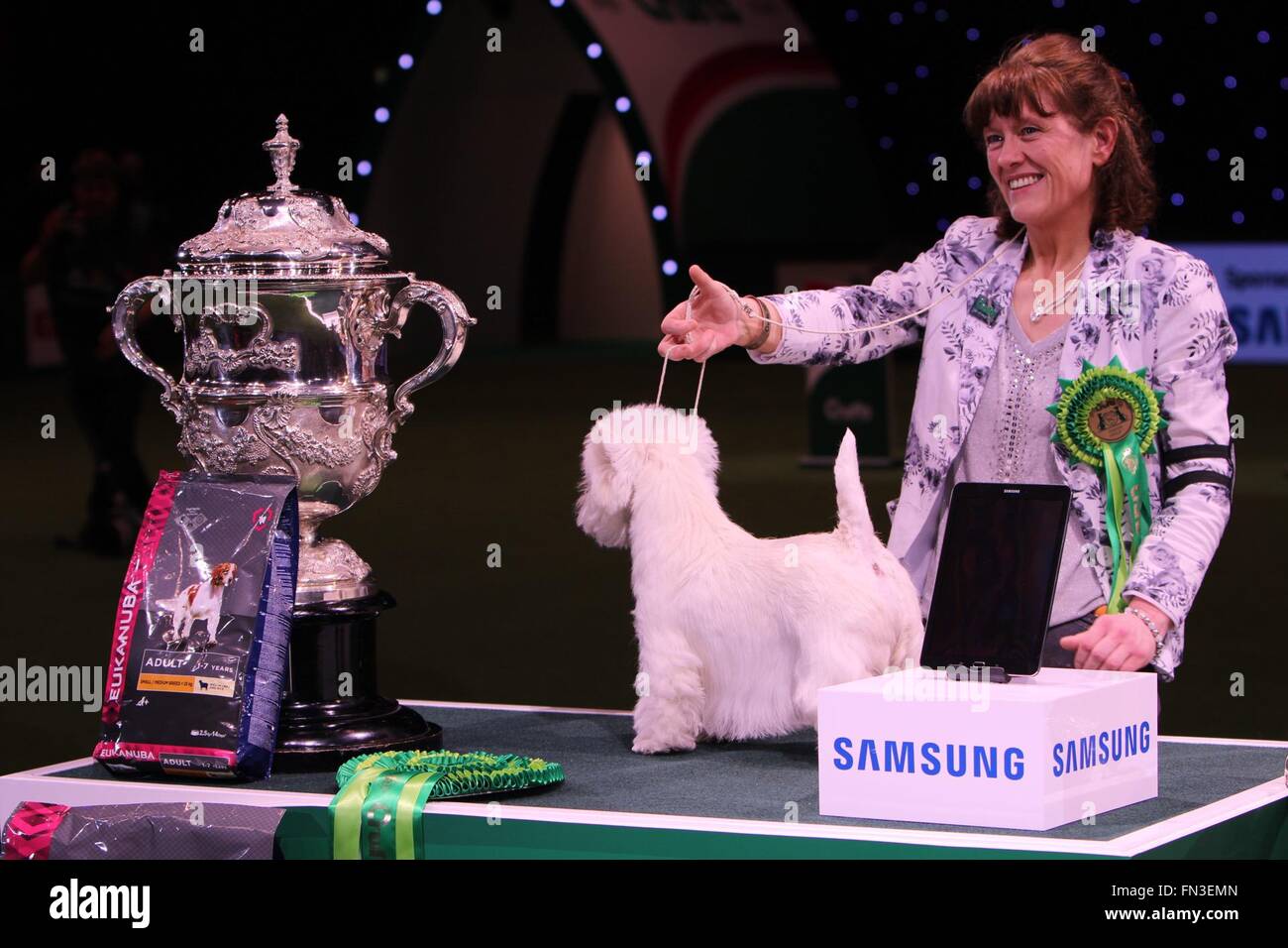 Birmingham, UK. 13th March, 2016. NEC Birmingham. Ch Burneze Geordie ...